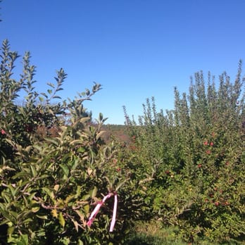 BOLTON SPRING FARM - Updated June 2024 - 66 Photos & 55 Reviews - 149 ...