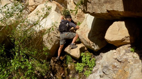 COLD SPRING TRAIL - Updated December 2025 - 104 Photos & 28 Reviews ...