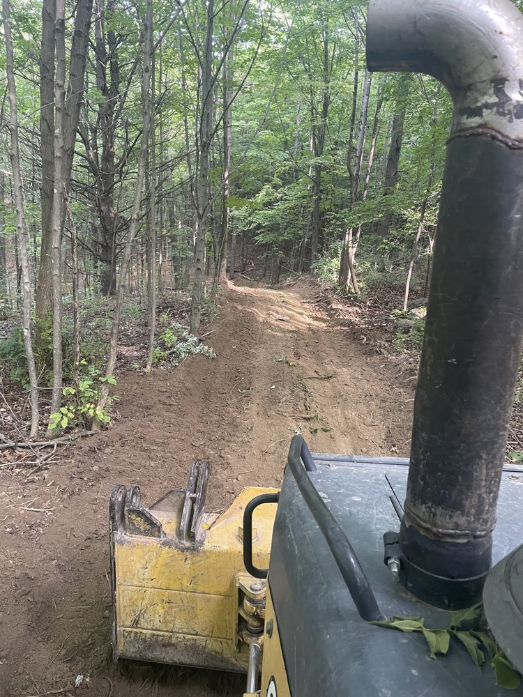 JOES TREE SERVICE - Updated October 2024 - Atlanta, New York - Tree ...