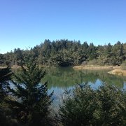 LAKE LAGUNITAS - 112 Photos & 27 Reviews - Lagunitas Dam Rd, Fairfax ...