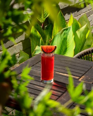 PI BAR - Updated August 2025 - 339 Photos & 165 Reviews - 18879 N Lower ...