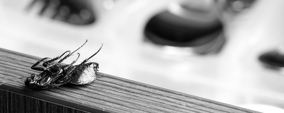 MAYFIELD BROTHERS PEST CONTROL - Updated October 2025 - 4315 N Creek Rd ...