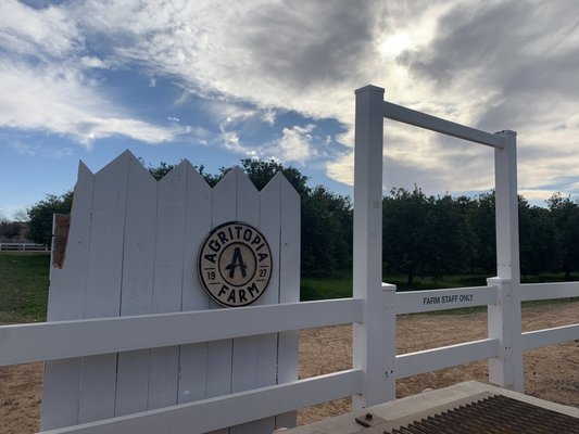 AGRITOPIA - 95 Photos & 35 Reviews - 3000 E Ray Rd, Gilbert, Arizona ...