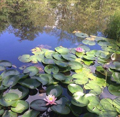 LAKE HAUTO CLUB - Updated May 2026 - 23 Photos - 140 Maple Ter ...
