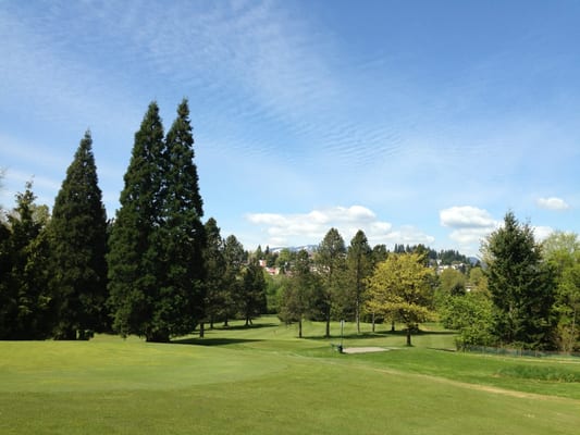 KENSINGTON PITCH AND PUTT - Updated January 2026 - 17 Photos - 5889 ...