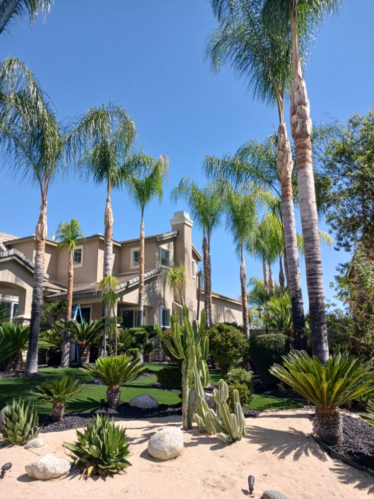 MARQUEZ’S TREE CARE - Updated November 2024 - 60 Photos - 4259 Napa Ln ...