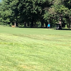 ALGONKIAN REGIONAL PARK AND GOLF COURSE - 75 Photos & 40 Reviews ...