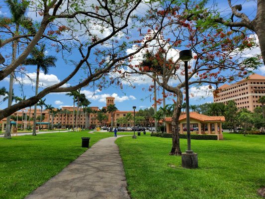 BAPTIST HEALTH MIAMI CANCER INSTITUTE - Updated December 2025 - 49 ...