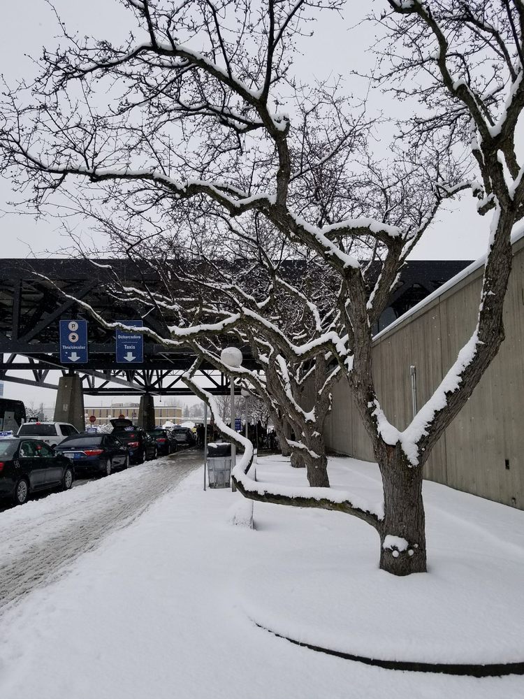 VIA RAIL CANADA - 79 Photos & 32 Reviews - 200 Tremblay Rd, Ottawa ...