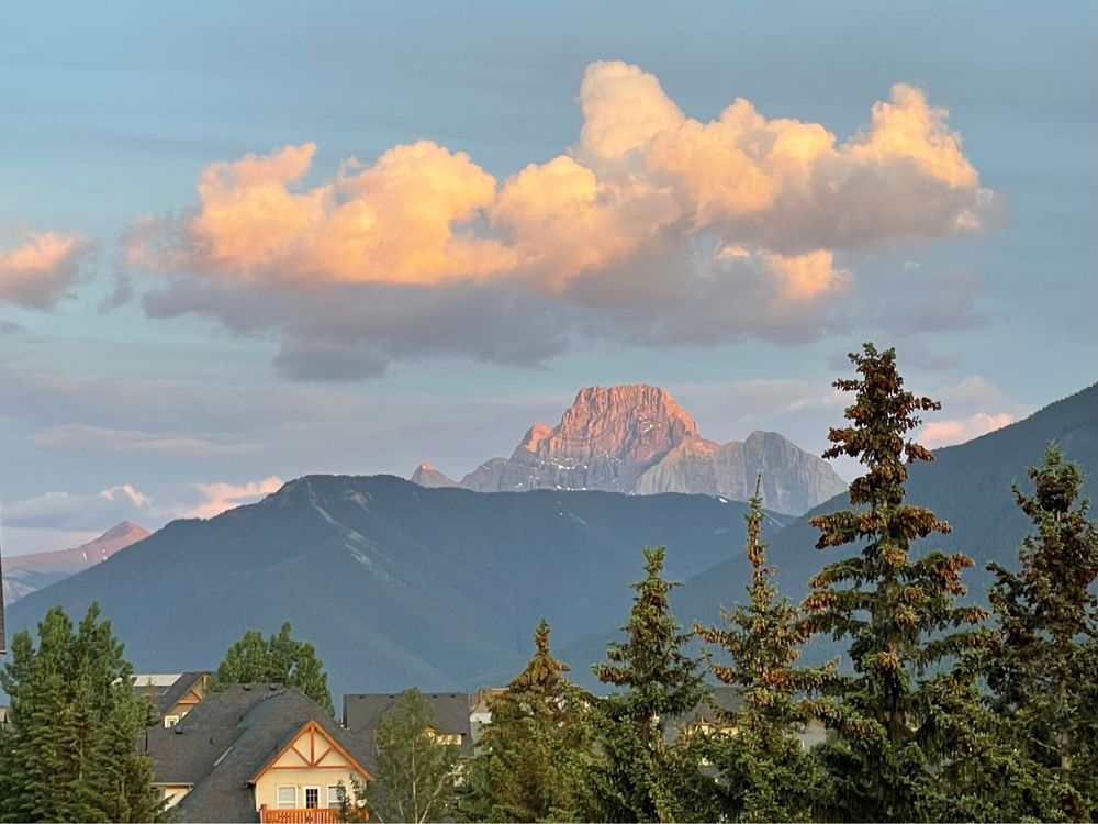 TANK310 - Updated July 2025 - 230 Photos & 93 Reviews - 310 Old Canmore ...