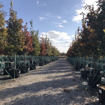 TREELAND NURSERY - Updated September 2025 - 54 Photos & 74 Reviews ...