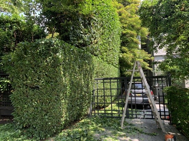 SELKIRK TREE & GARDEN - Updated May 2026 - North Vancouver, British ...