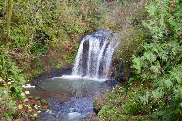 HIDDEN FALLS NATURE PARK - 18 Photos - 14888 152nd, Happy valley ...