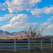 SPRING MOUNTAIN RANCH STATE PARK - 1032 Photos & 141 Reviews - 6375 Hwy ...