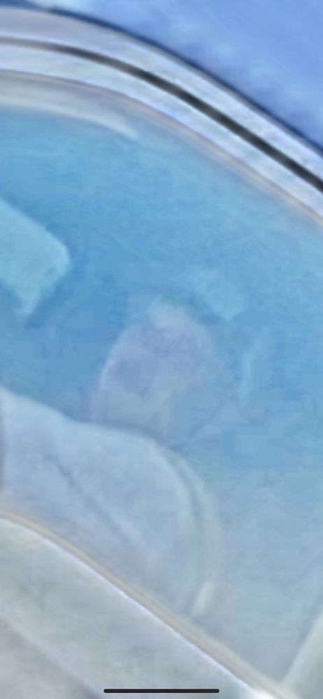 TORO ENTERPRISES - Updated January 2026 - 16 Photos & 21 Real Reviews ...