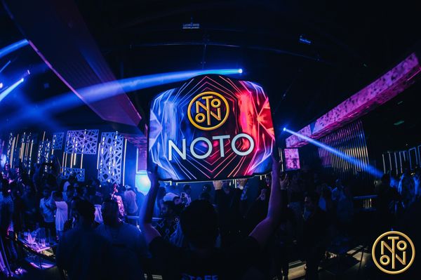NOTO HOUSTON - Updated December 2025 - 56 Photos & 15 Reviews - 3215 ...