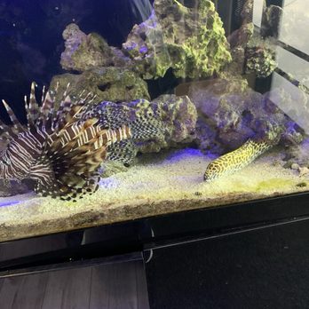 FLOATING SEA AQUATICS - Updated December 2025 - 290 Photos & 65 Reviews ...