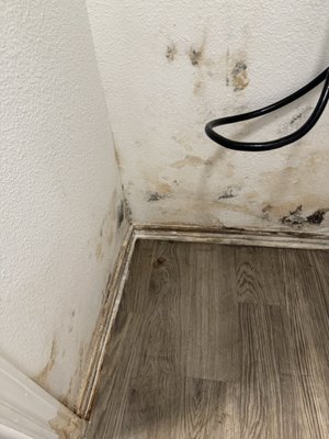 A & A APPLIANCE LEASING - Updated January 2026 - 61 Photos & 159 ...