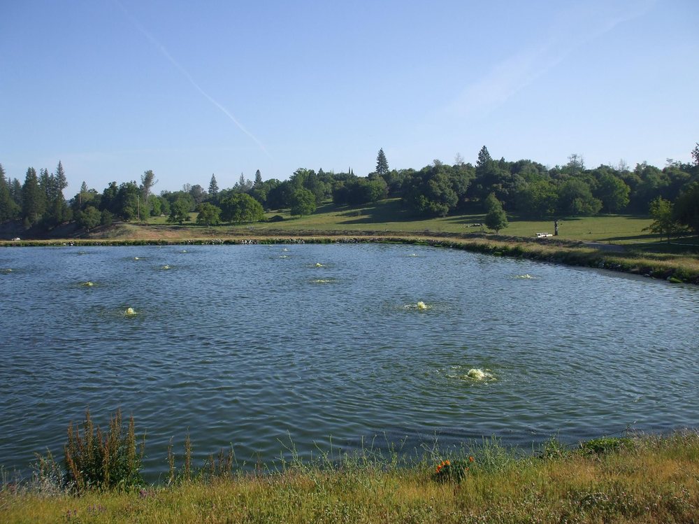 MURPHYS SANITARY DISTRICT - Updated June 2025 - Murphys, California ...