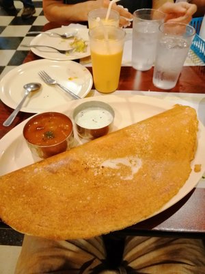 UDIPI CAFE - 234 Photos & 410 Reviews - 4141 Old William Penn Hwy ...