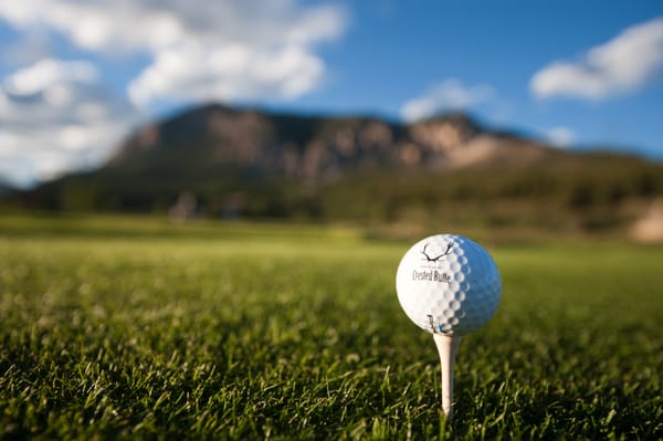 THE CLUB AT CRESTED BUTTE - Updated June 2026 - 15 Photos - 385 Country ...