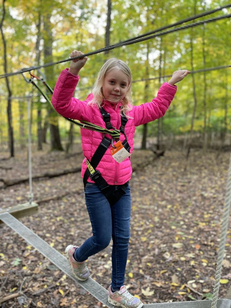 ZIPZONE OUTDOOR ADVENTURES - 83 Photos & 41 Reviews - Ziplining - 7925 ...