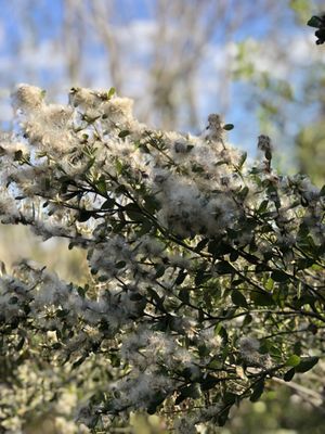 CREW CORKSCREW MARSH TRAILS - Updated January 2025 - 57 Photos - 4600 ...