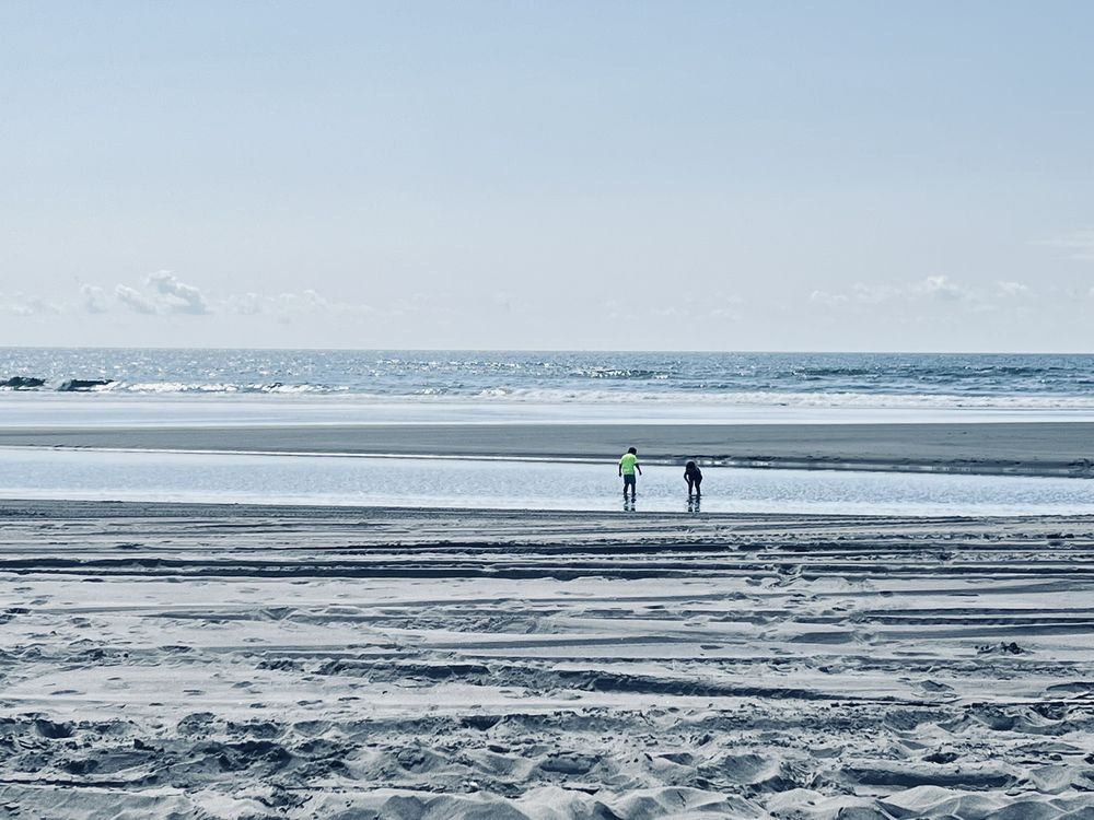 DEL REY BEACH STATE PARK - Updated April 2025 - 30000 Highlands Ln ...