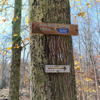 DAY POND STATE PARK - Updated December 2025 - 43 Photos - Day Pond Rd ...