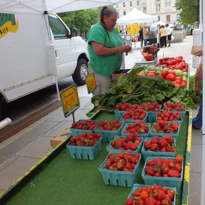 STREAM CLIFF FARM - Updated October 2025 - 136 Photos & 46 Reviews ...