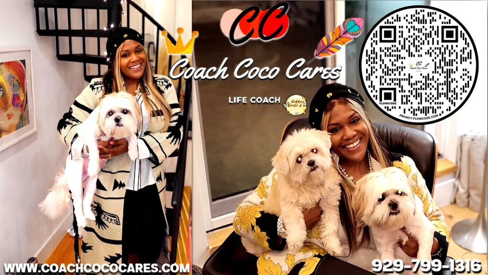 COACH COCO - Updated November 2024 - 16 Photos - Derby, Connecticut ...