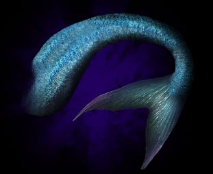 THE METICULOUS MERMAID - Tustin, California - Interior Design - Phone ...