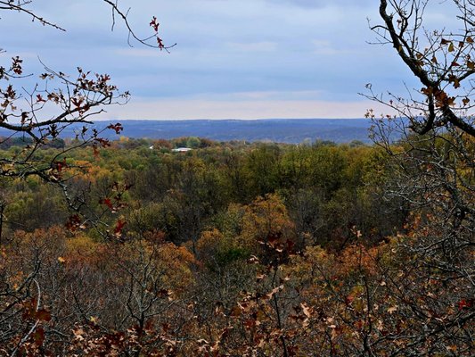 KEYSTONE ANCIENT FOREST - Updated September 2025 - 24 Photos & 12 ...