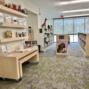 HUSSEY MAYFIELD MEMORIAL PUBLIC LIBRARY - Updated August 2025 - 50 ...