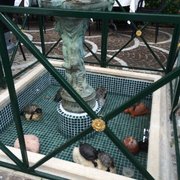 CIAMPINI - 76 Photos & 35 Reviews - Bars - Piazza di San Lorenzo in ...