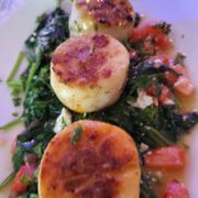 TAVERNA OPA - 919 Photos & 761 Reviews - 410 N Ocean Dr, Hollywood ...