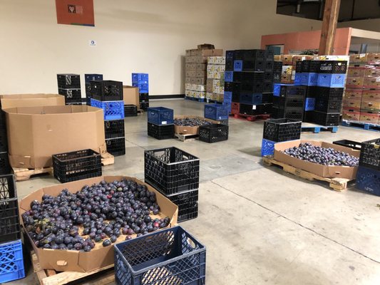 SECOND HARVEST FOOD BANK OF ORANGE COUNTY - Updated July 2025 - 75 ...