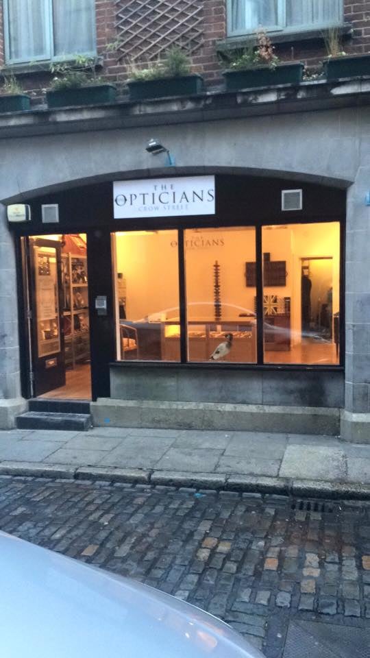 THE OPTICIANS CROW STREET - Updated December 2025 - 6 Sprangers Yard ...