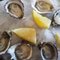 TAYLOR SHELLFISH FARMS - 1247 Photos & 347 Reviews - 2182 Chuckanut Dr ...