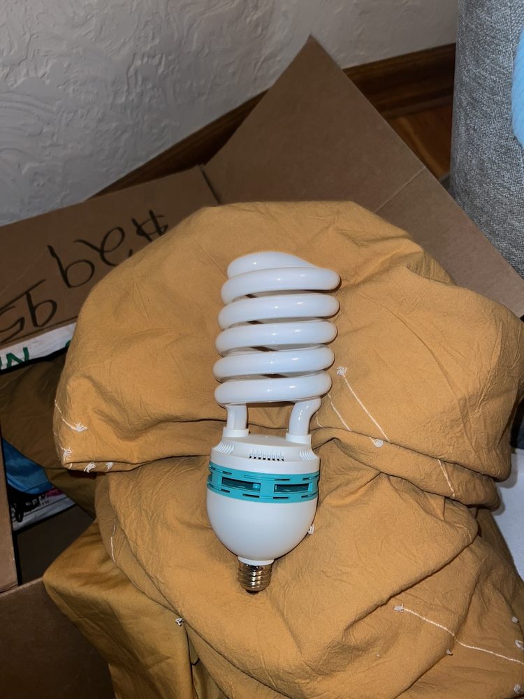 CHEAPER BY THE DAY - Updated September 2025 - 45 Photos & 44 Reviews ...