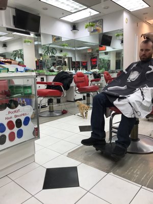 QL BARBER - Updated August 2025 - 41 Reviews - 199 E Montgomery Ave ...