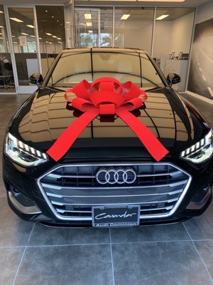 AUDI DOMINION - Updated May 2024 - 82 Photos & 280 Reviews - 21105 IH ...