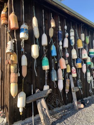 BUCK BAY SHELLFISH FARM - Updated May 2025 - 323 Photos & 212 Reviews ...