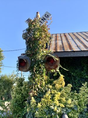 SHELBY FARMS GREENLINE - Updated September 2025 - 77 Photos & 31 ...