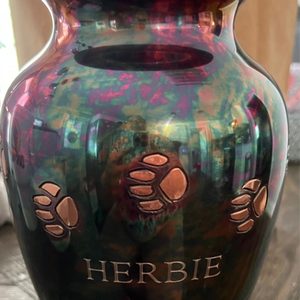 PET ANGELS CREMATION - 2055 Scott Blvd, Temple, TX - Yelp