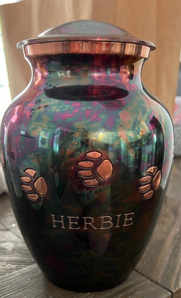 PET ANGELS CREMATION - Updated October 2025 - 2055 Scott Blvd, Temple ...