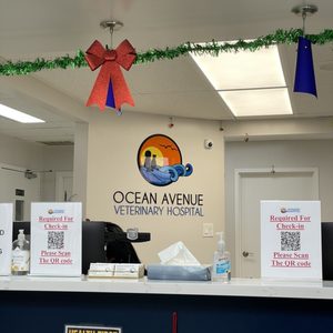 OCEAN AVENUE VETERINARY HOSPITAL - 241 Photos & 685 Reviews - 1001 ...