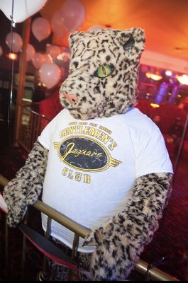 JAGUARS CLUB PHOENIX - Updated August 2025 - 46 Photos & 111 Reviews ...