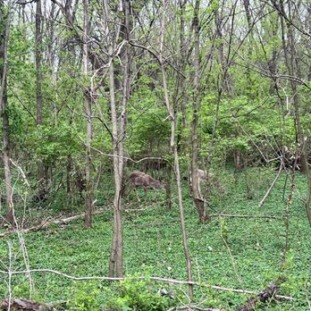 TUTTLE PARK RECREATION CENTER - Updated December 2025 - 39 Photos & 14 ...