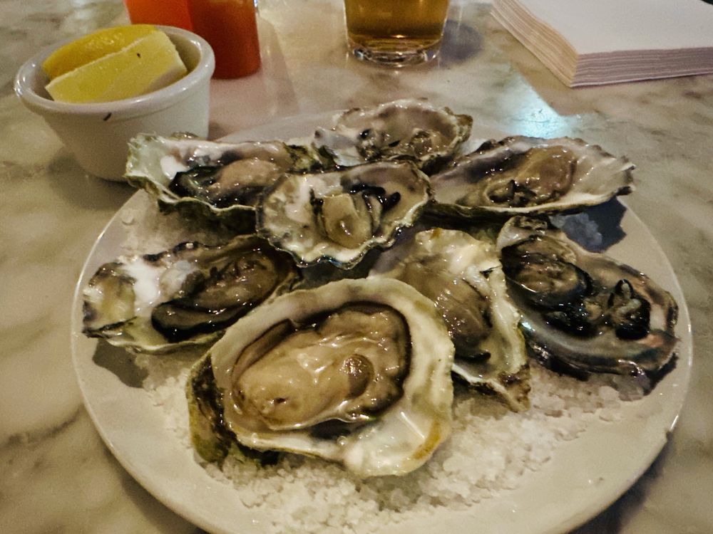 HOGGORM - Updated June 2025 - 10 Photos - Nygårdsgaten 29, Bergen ...